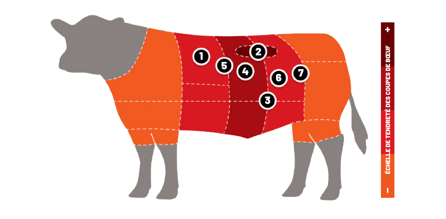 Bœuf Angus AAA Canadien - Viande vieillie | Metro