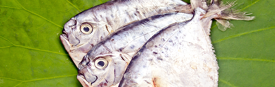 All About Moonfish (Opah) | Metro